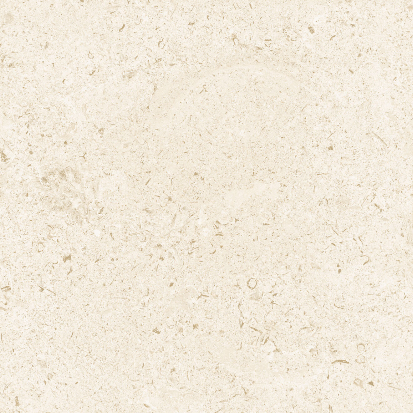 2CM SHELLSTONE PORCELAIN PAVER – Hardscape.com Shop